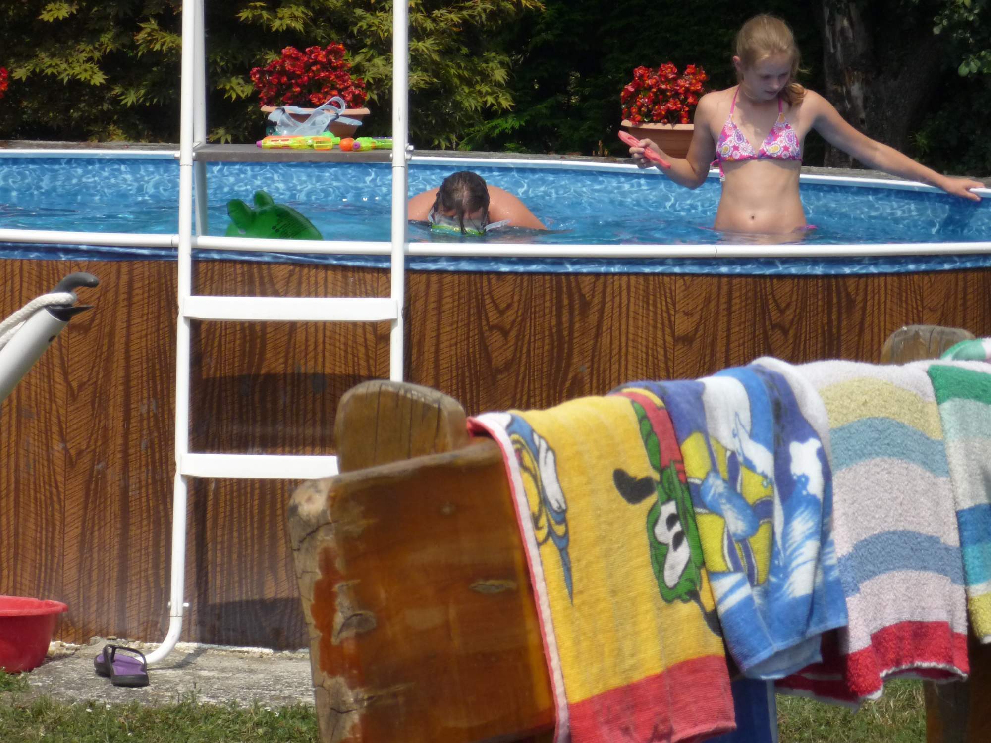 zahrada holky 2015 – parasa – album na Rajčeti